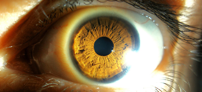 Уметничката страна на човечкото око