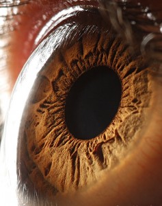 Уметничката страна на човечкото око