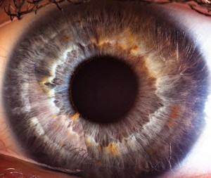 Уметничката страна на човечкото око