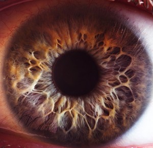 Уметничката страна на човечкото око