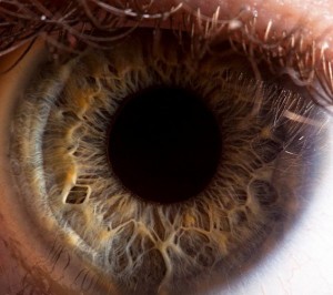 Уметничката страна на човечкото око
