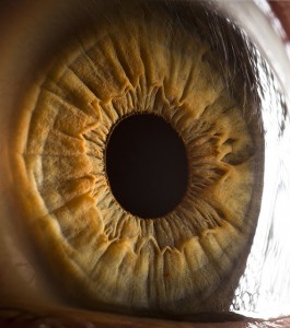 Уметничката страна на човечкото око