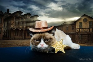 Мачорот намќор се маскираше за да се сокрие од фановите